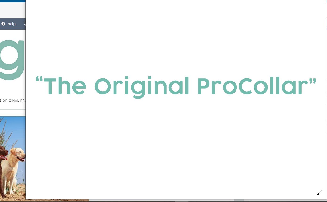 Amazon.com: ProCollar: The Original ProCollar