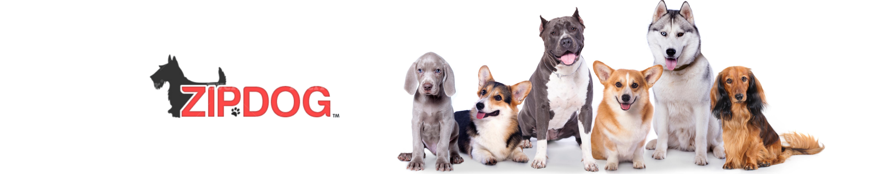 Amazon.com: Zip Dog: Dog Food & Treats