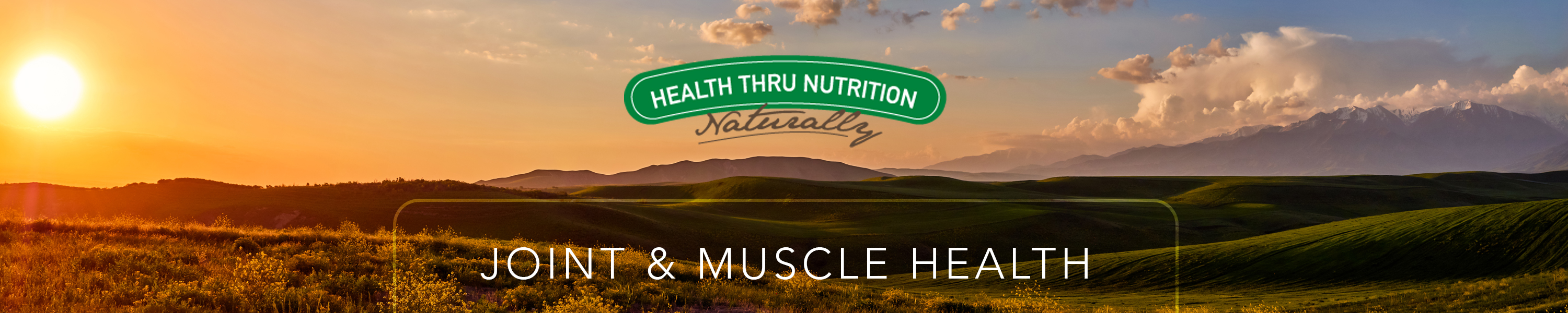Amazon.com: Health Thru Nutrition: Joint & Muscle Health