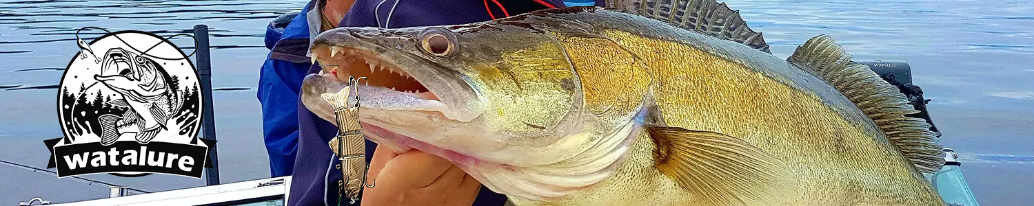 Amazon.com: watalure: Robotic Lure