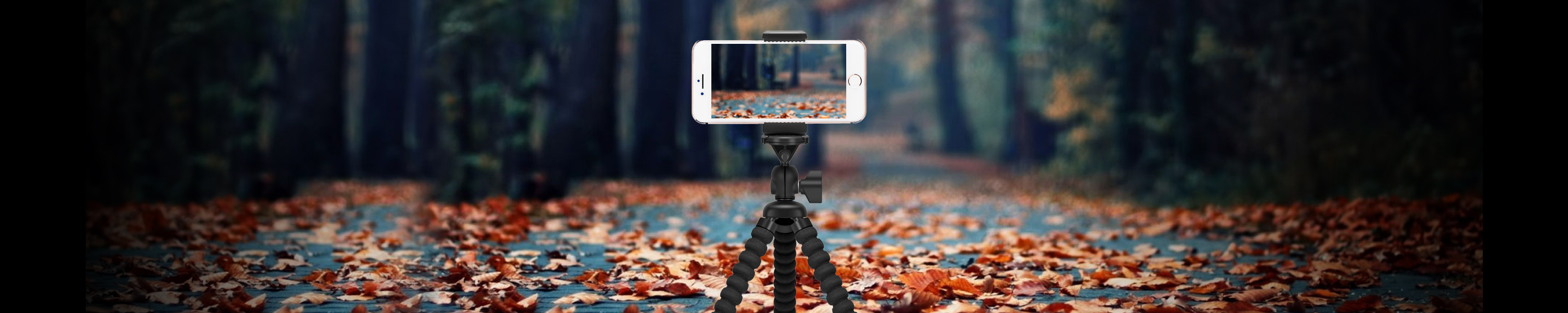 Amazon.com: ZTON: Cell Phones Accessories