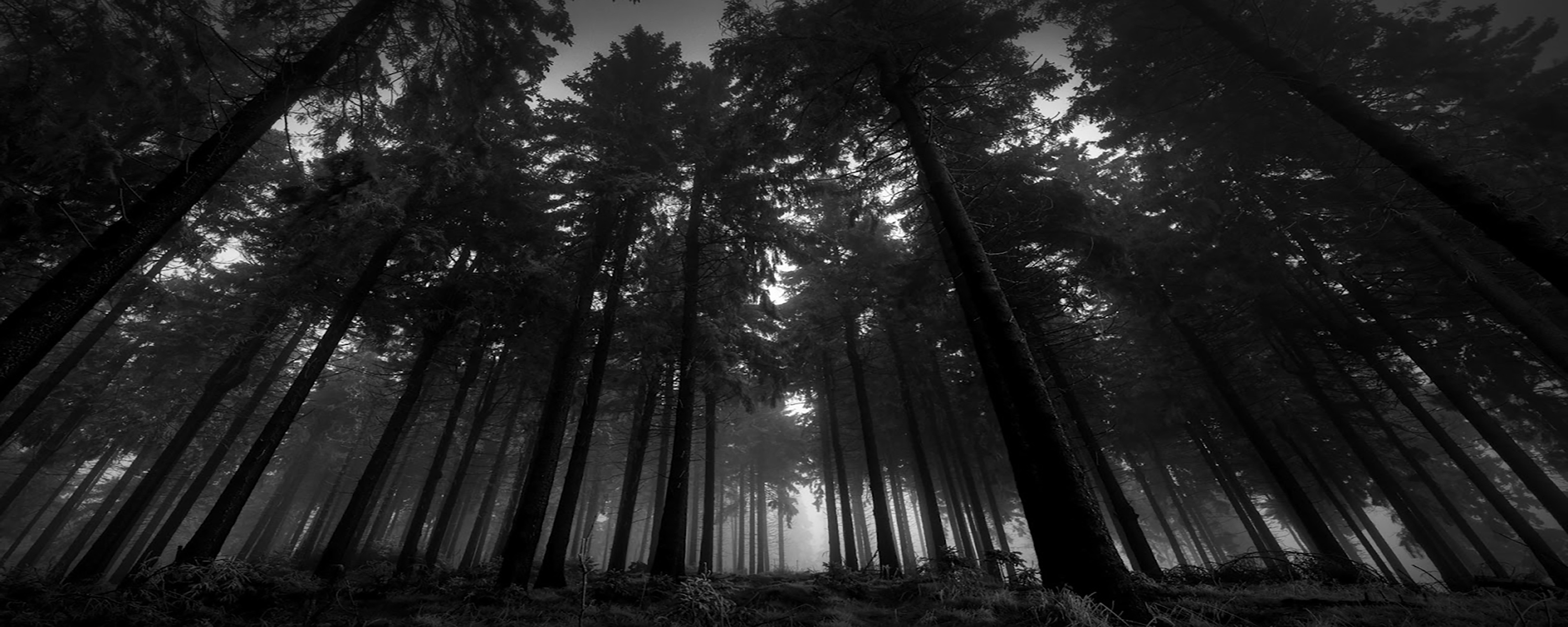 Amazon.com: Redneck Convent: Camping and Hiking