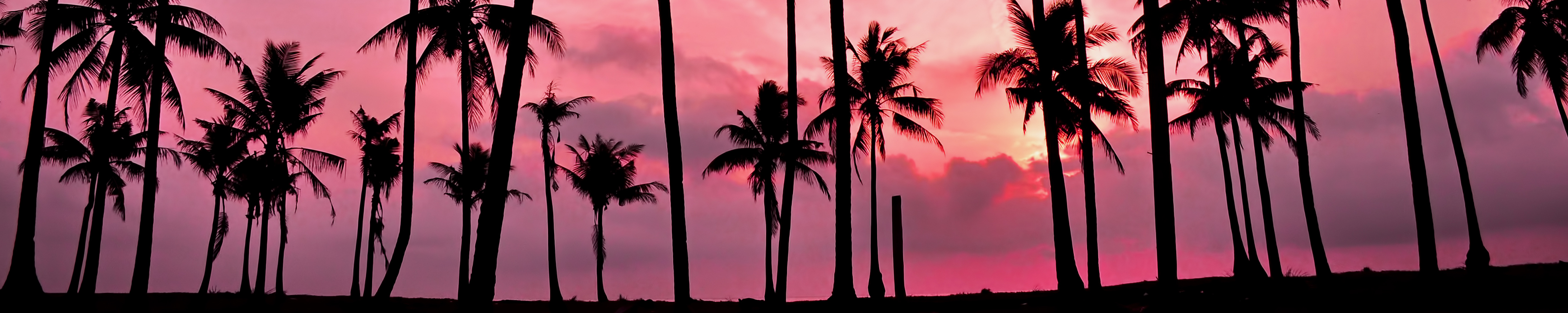 Amazon.com: Grayson: Shirts & Blouse