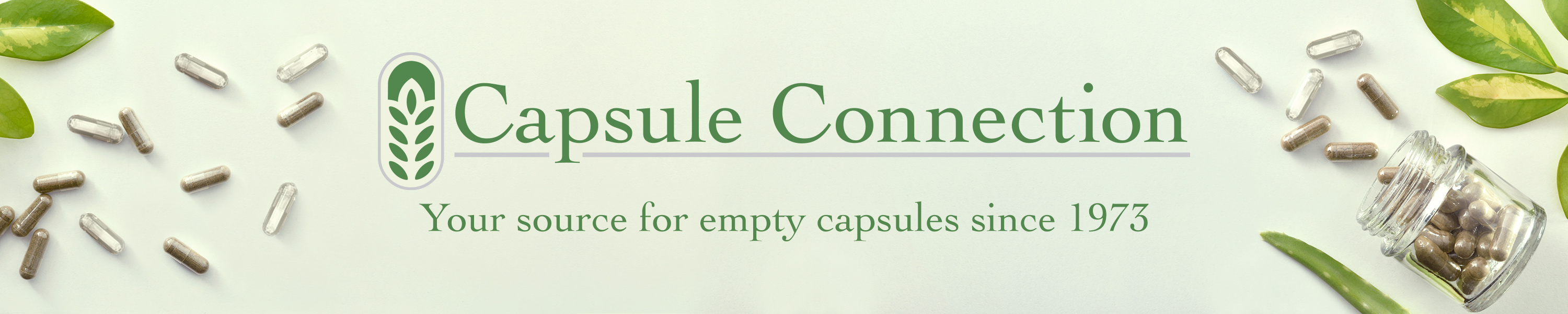 Amazon.com: Capsule Connection: Separated Gelatin Capsules