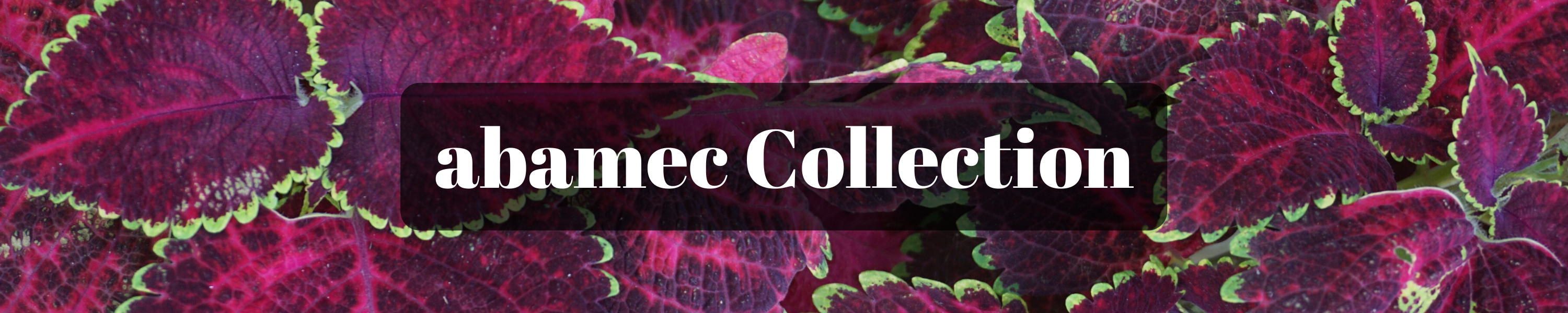 Amazon.com: abamec: Products