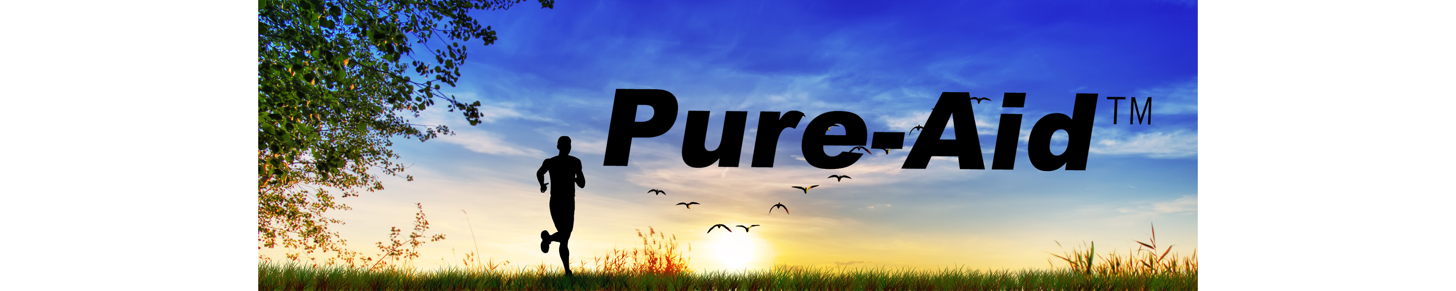 Amazon.com: Pure-Aid