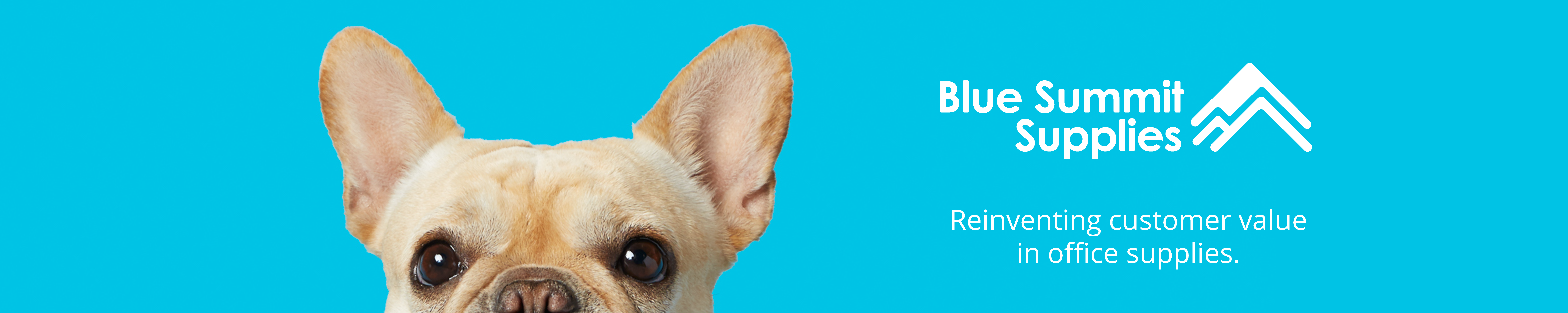 Amazon.com: Blue Summit Supplies