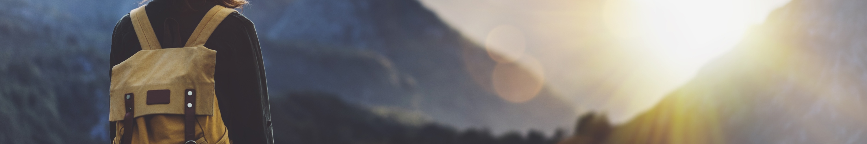 Amazon.com: Renwick: Backpacks & Messengers