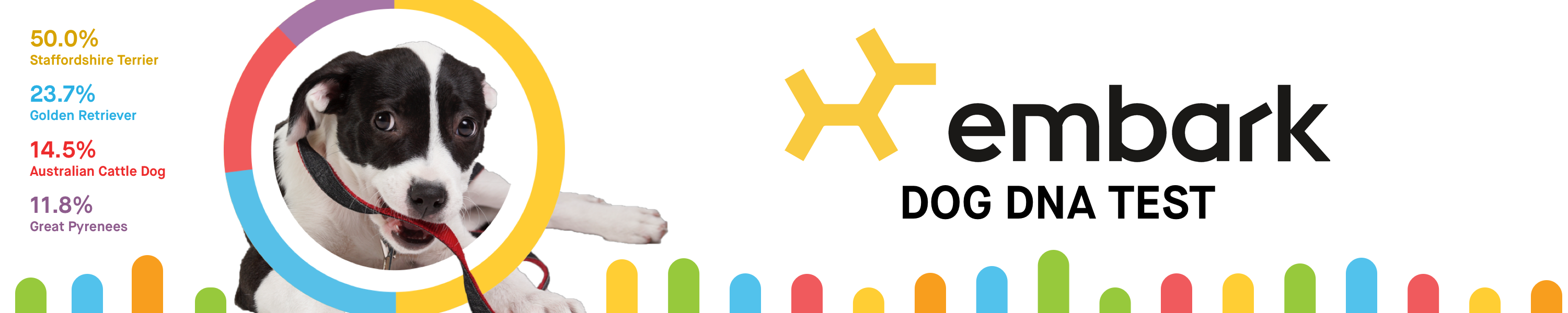 Amazon.com: Embark Veterinary