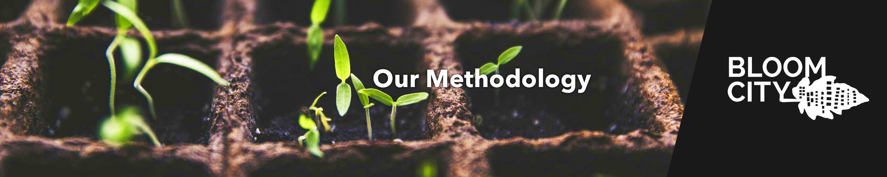 Amazon.com: Bloom City: Methodology