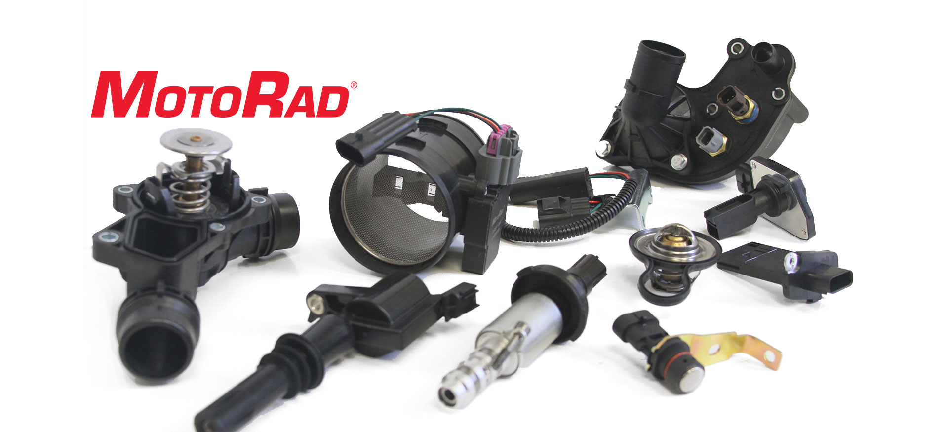 Amazon.com: MotoRad