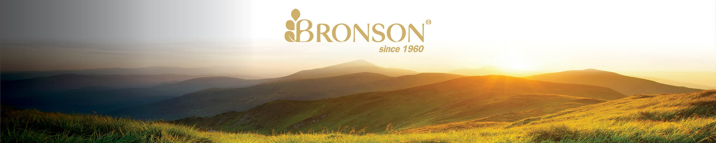 Amazon.com: Bronson: Weight Management