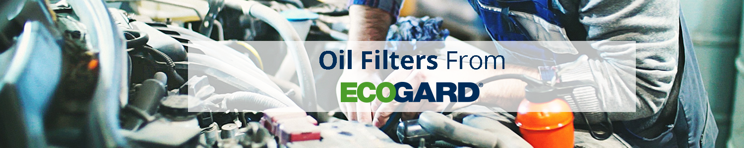 Amazon.com: ECOGARD: Small Engine Oil Filters
