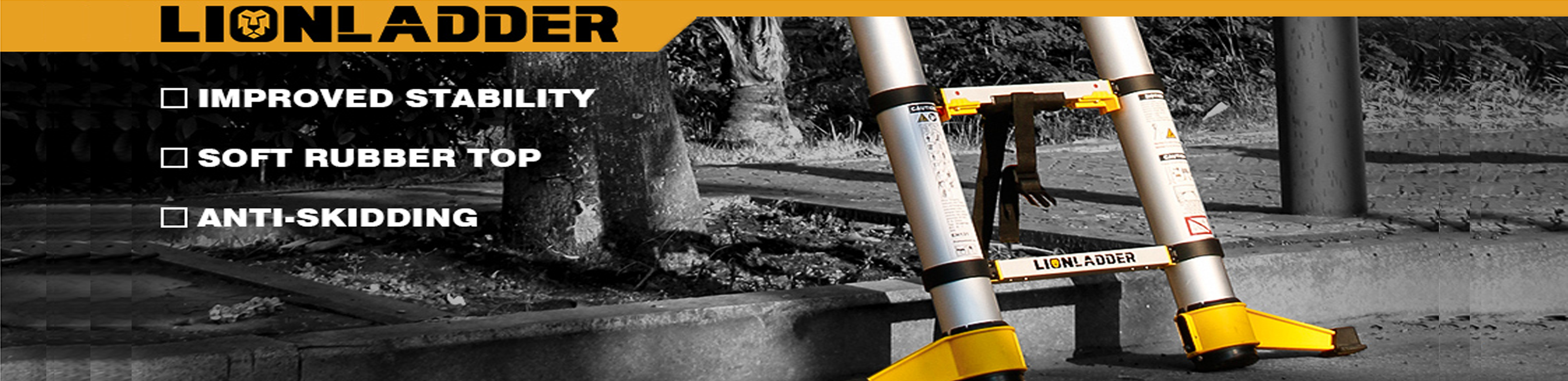 Amazon.com: Lionladder