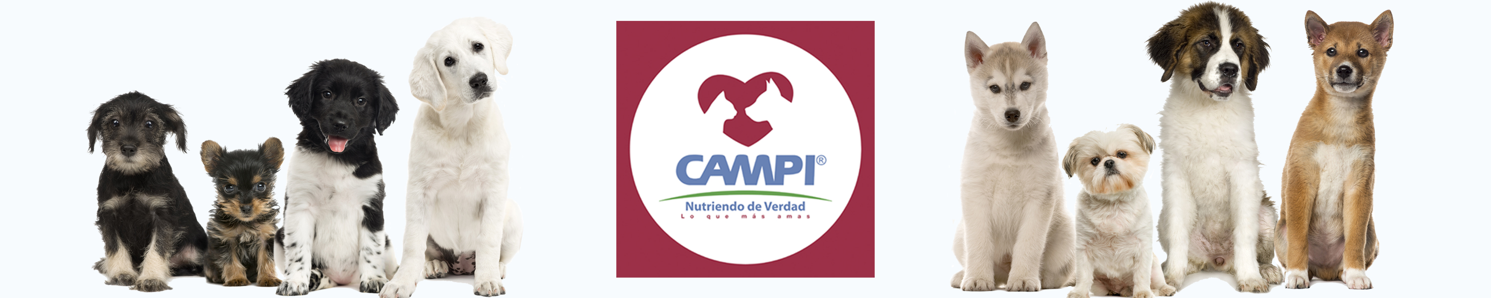 Amazon.com.mx: CAMPI: Alimento para perros
