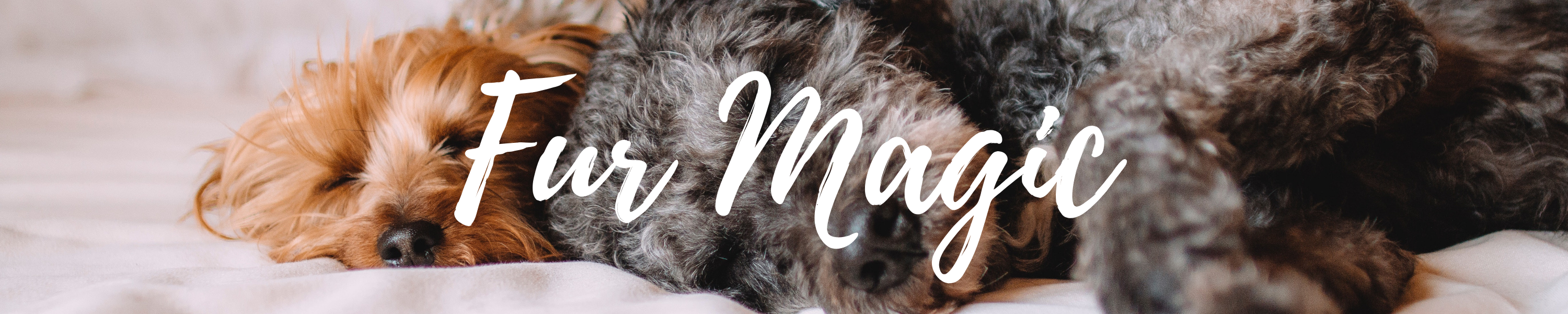 Amazon.co.uk: Fur Magic