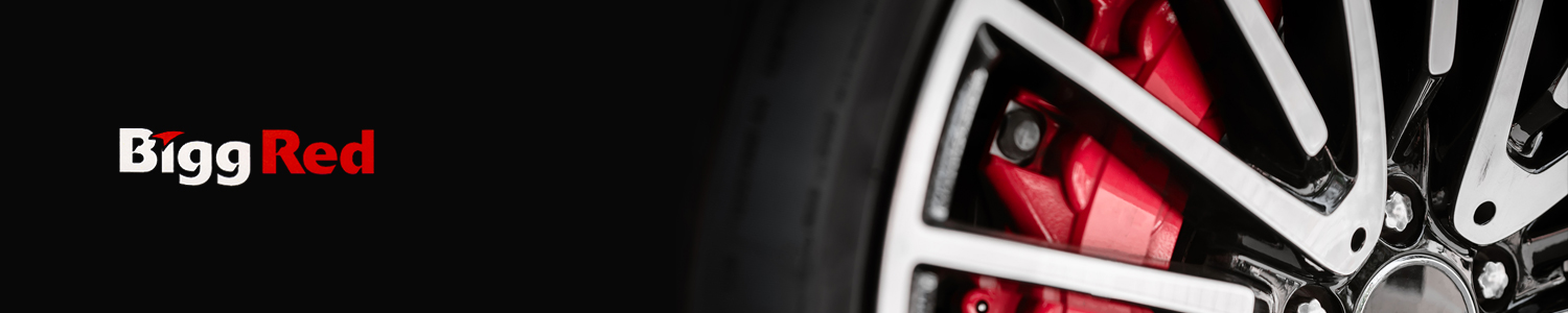 Amazon.co.uk: Bigg Red: Piston Seal Repair Kits