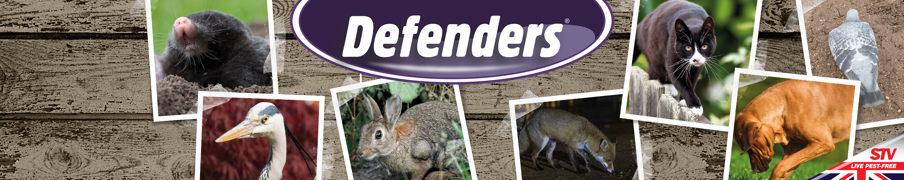Amazon.co.uk: STV International: Defenders
