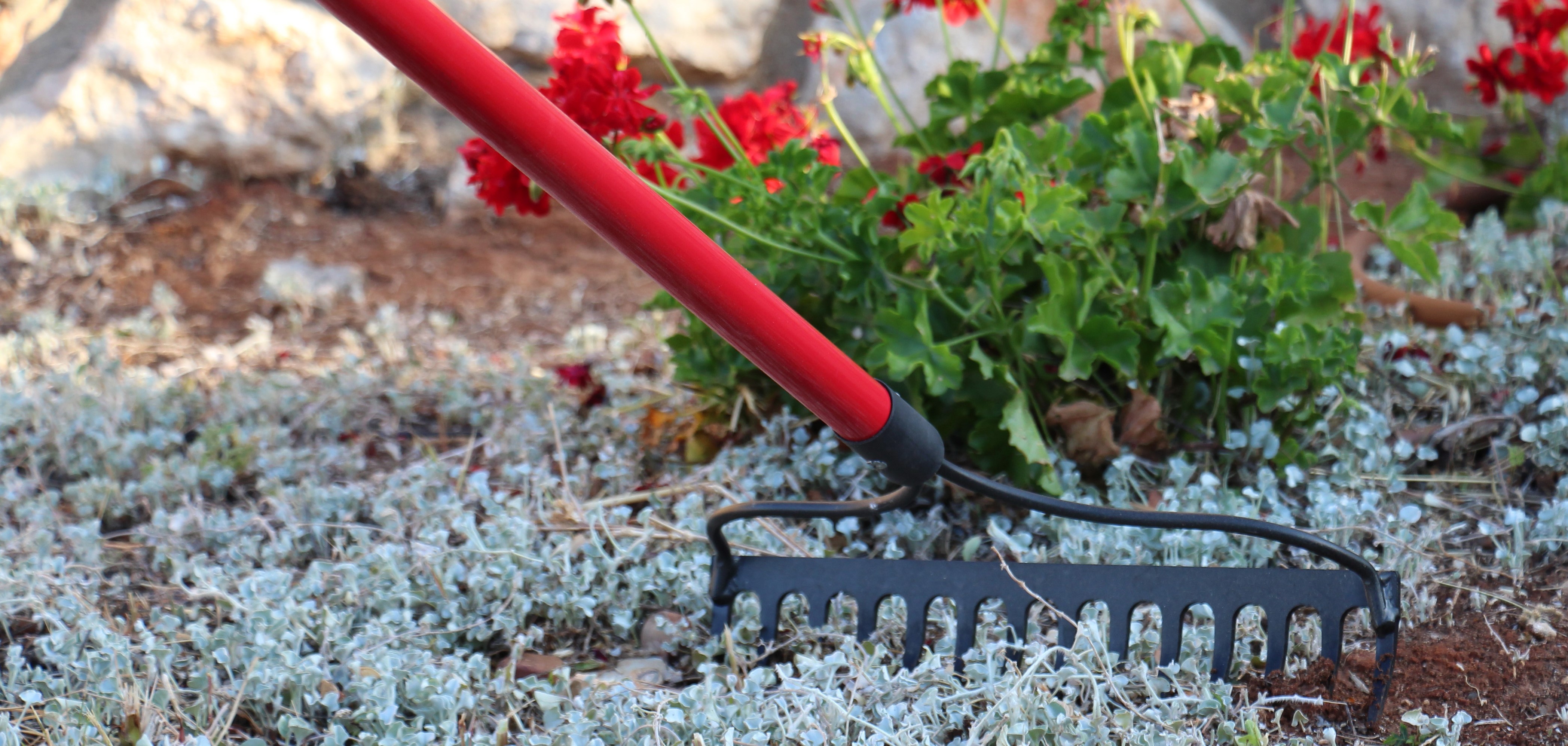 Amazon.co.uk: TABOR TOOLS: Small Digging Tools