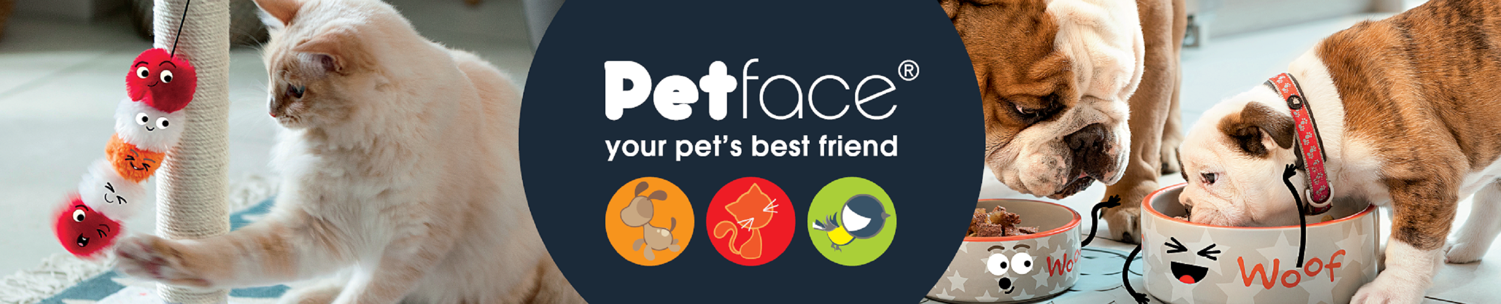 Amazon.co.uk: Petface