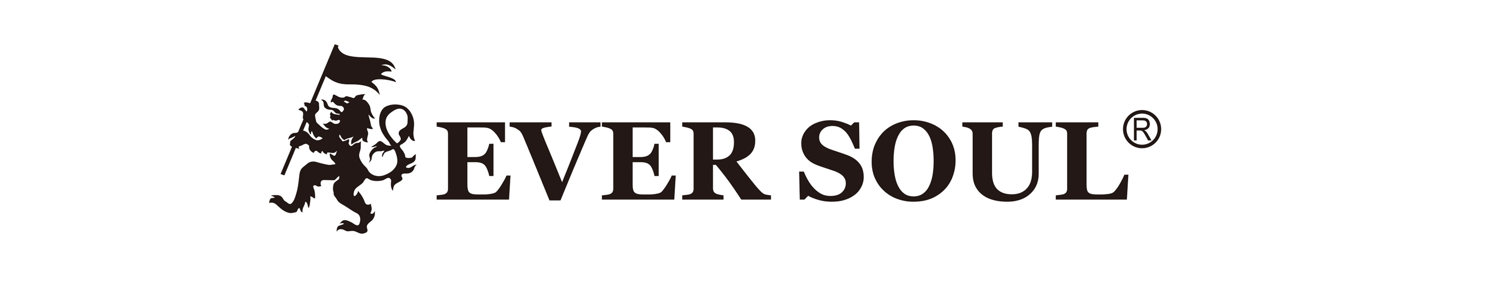 Amazon.co.jp: EVERSOUL: おもしろTシャツ