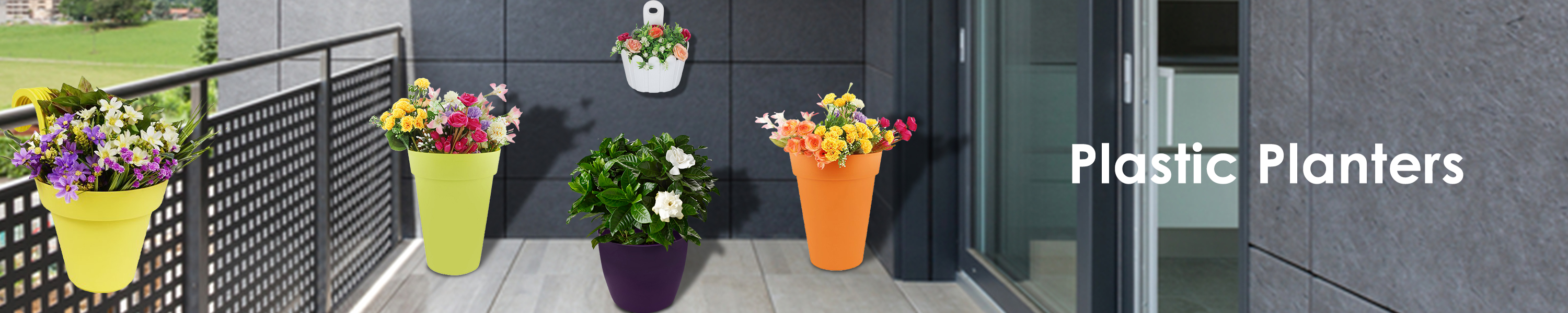 Amazon.in: Wonderland: Plastic Planters