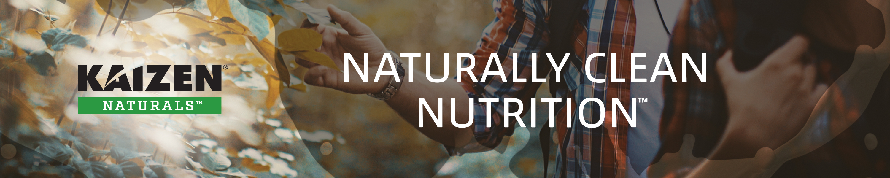 Amazon.ca: Kaizen Naturals