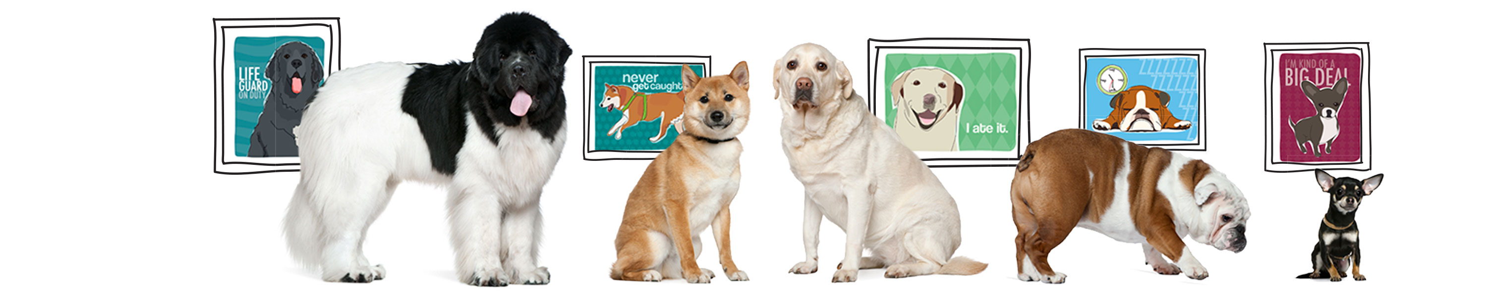 Amazon.com: Pop Doggie