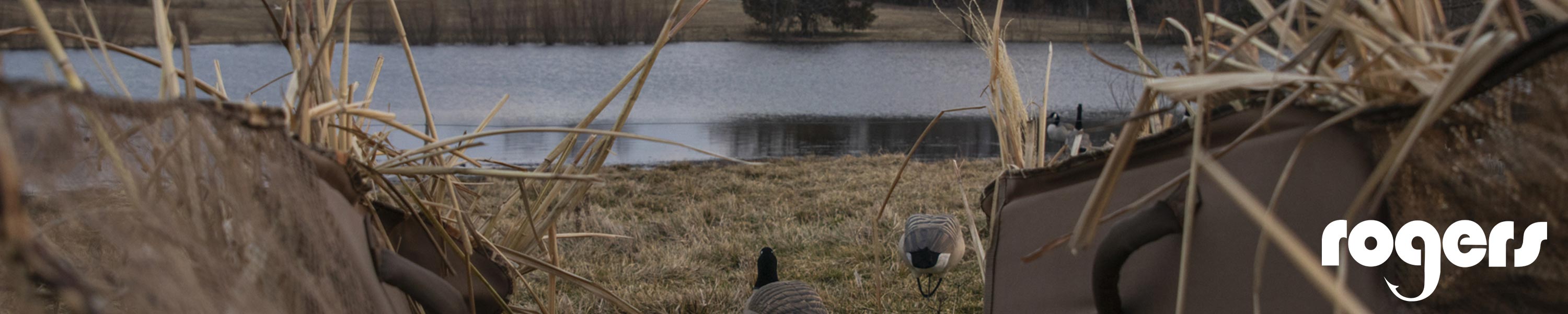 Amazon.com: rogerssportinggoods