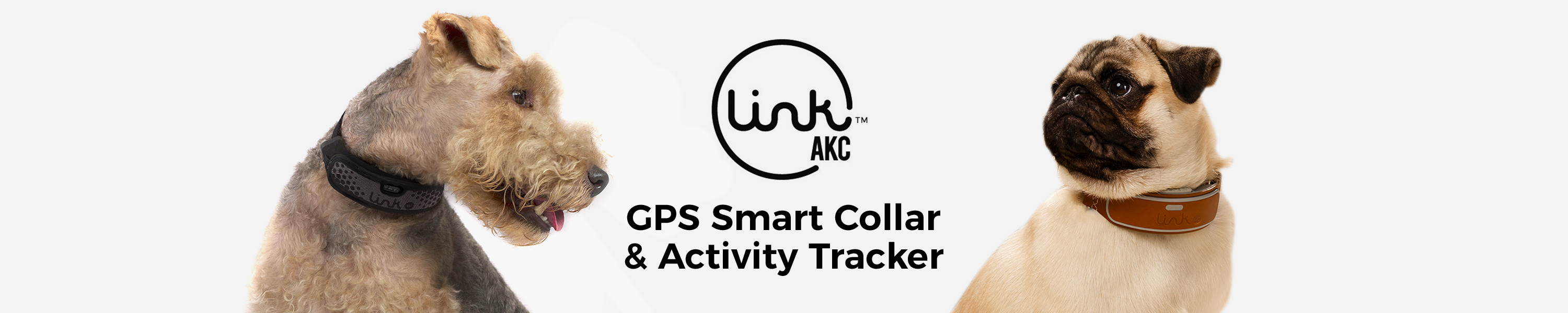 Amazon.com: LINK AKC: Products