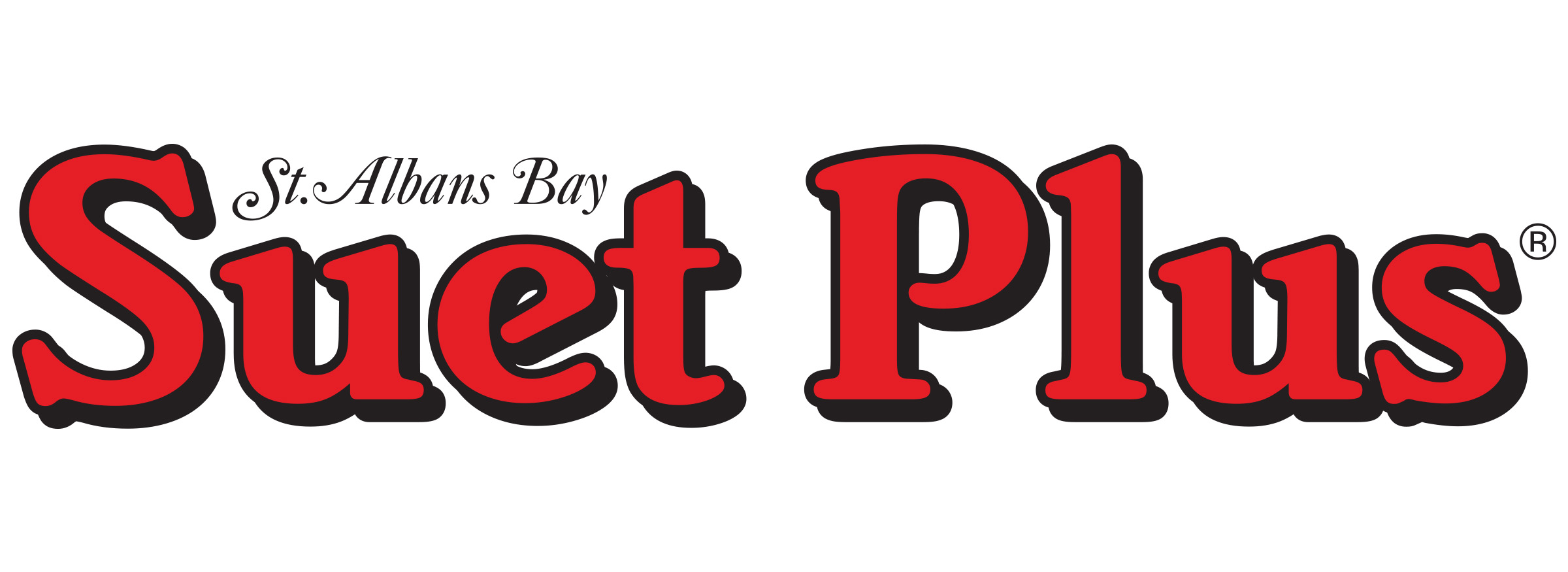 Amazon.com: ST. ALBANS BAY SUET PLUS