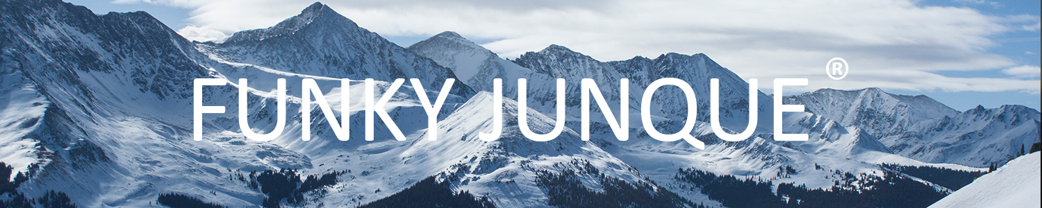 Amazon.com: Funky Junque: Pom