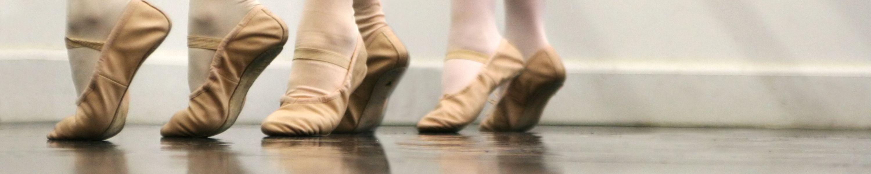 Amazon.com: DANCEYOU: PRO BALLET SHOES