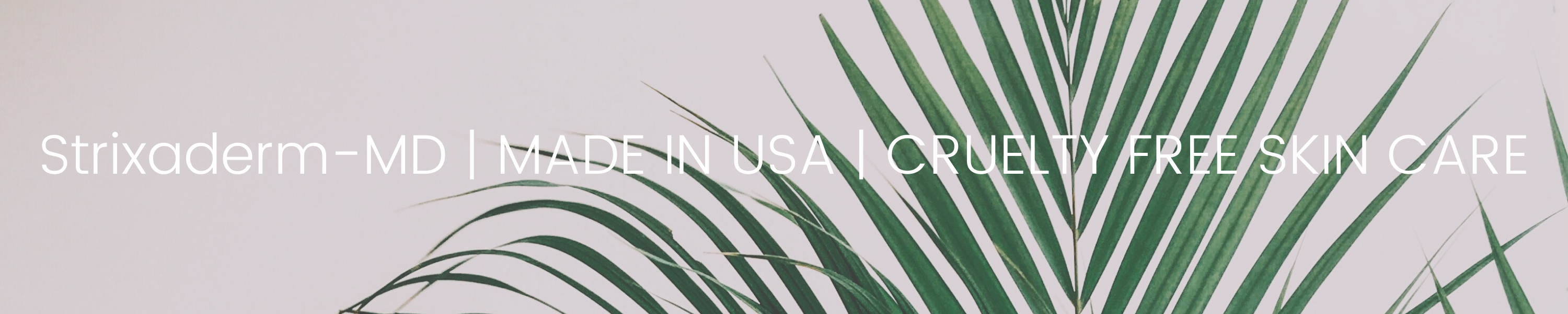 Amazon.com: Strixaderm-MD