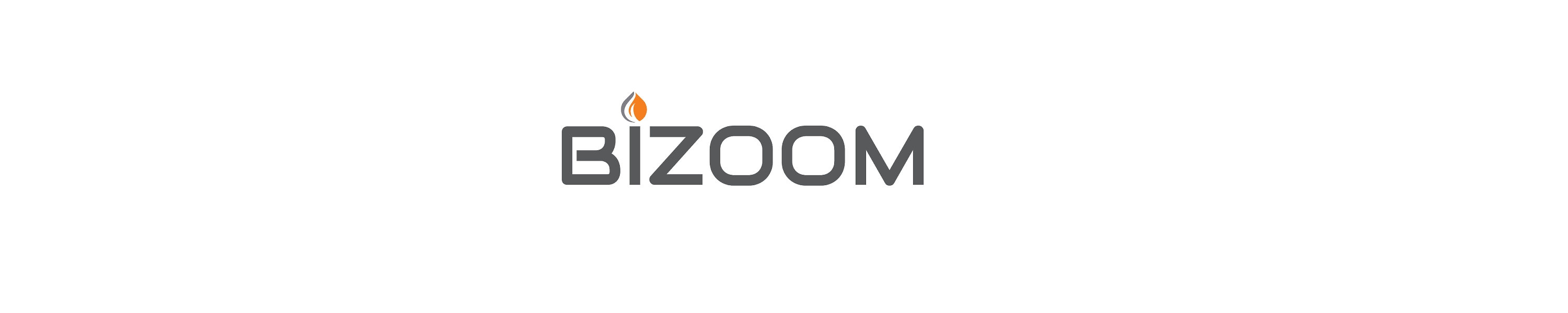 Amazon.com: BIZOOM
