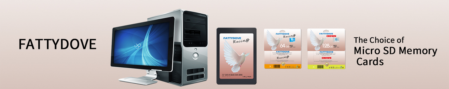 Amazon.com: FATTYDOVE: micro SD card