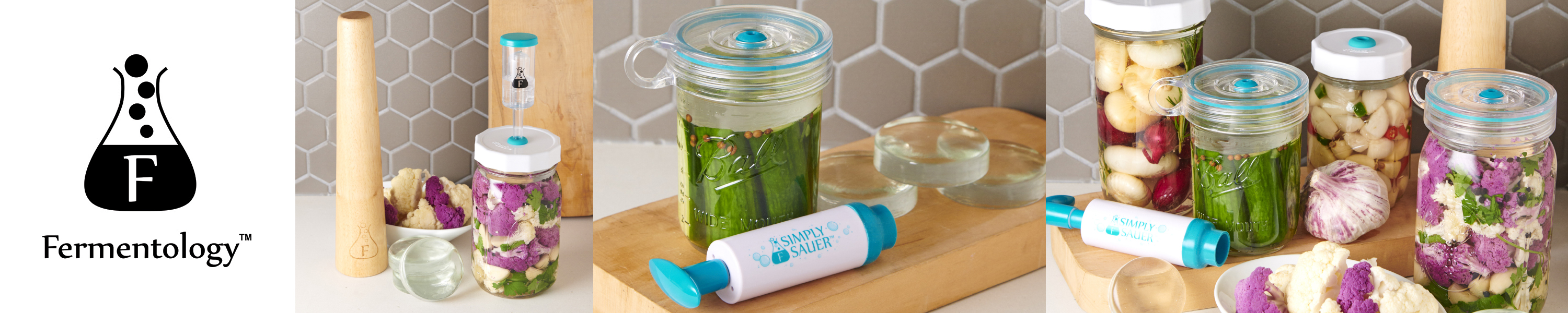 Amazon.com: Fermentology: SAUER SYSTEM KITS