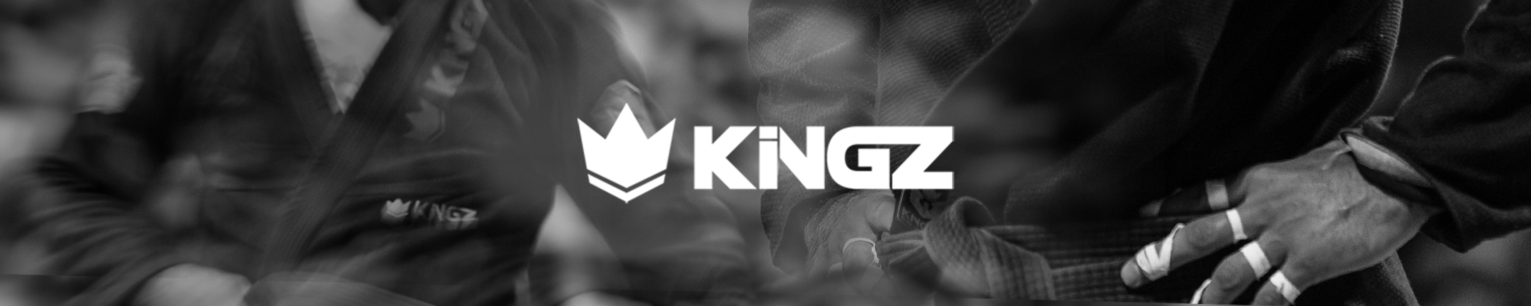 Amazon.com: KINGZ