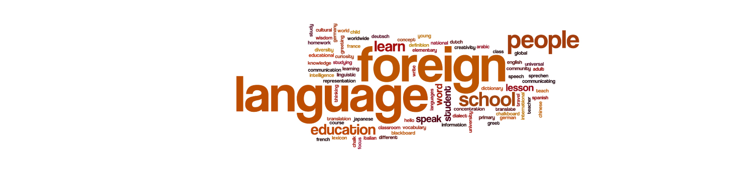 Amazon.com: Permacharts Quick Reference Guides: Language Charts