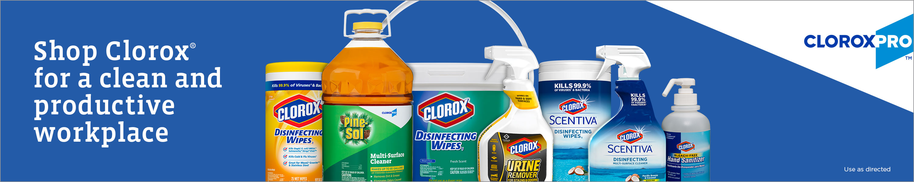 Amazon.com: Clorox Professional: Cleaners & Disinfectants
