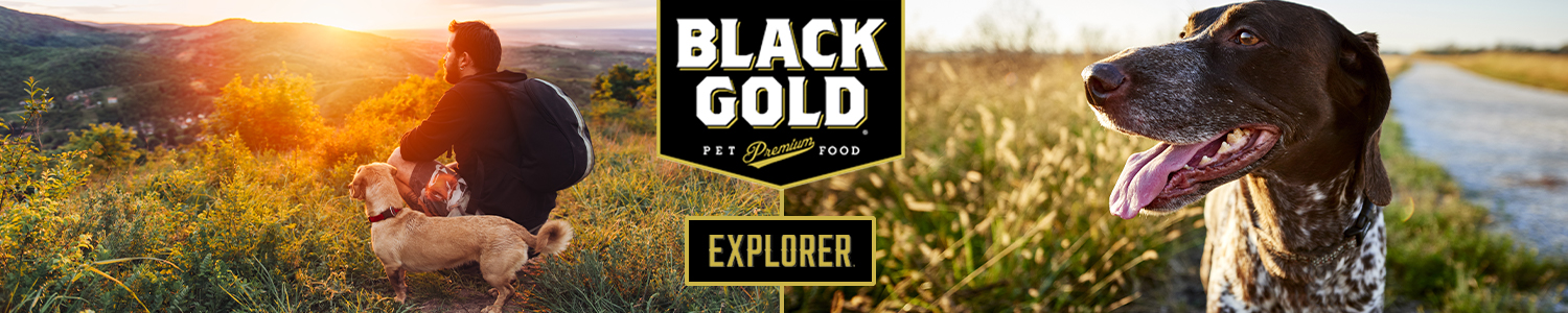 Amazon.com: Black Gold Explorer