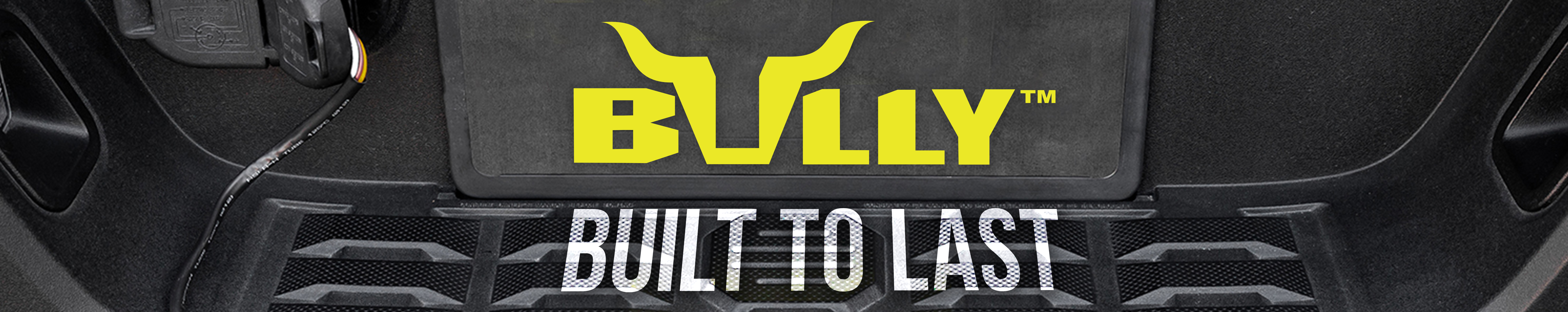 Amazon.com: Bully: Side Steps