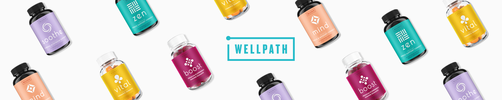 Amazon.com: WellPath