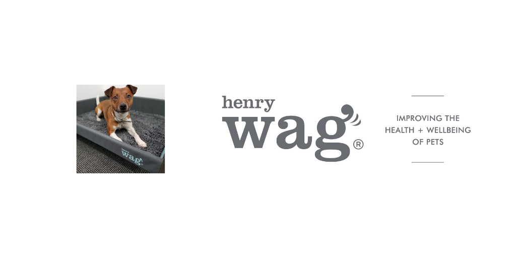 Amazon.co.uk: Henry Wag