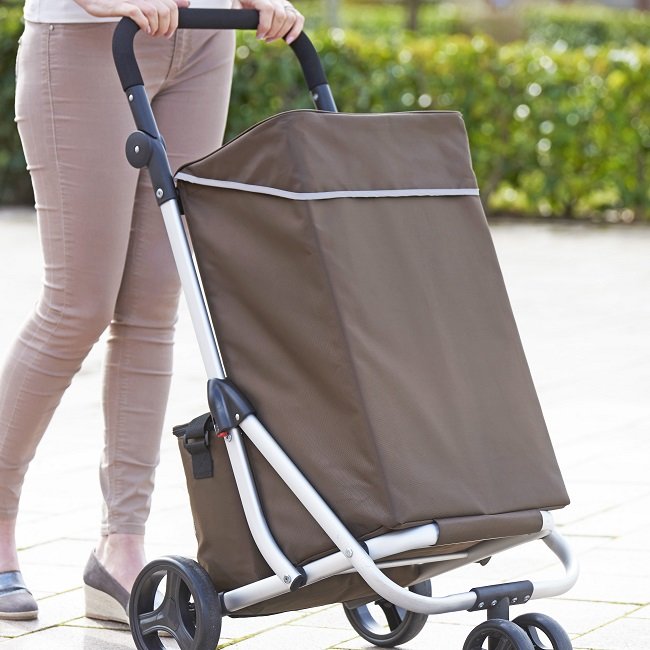 Amazon.co.uk: Easylife: Shopping Trolleys