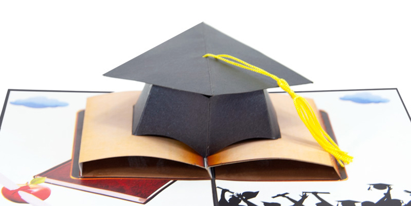 Amazon.co.uk: Favour Pop Up: Examination