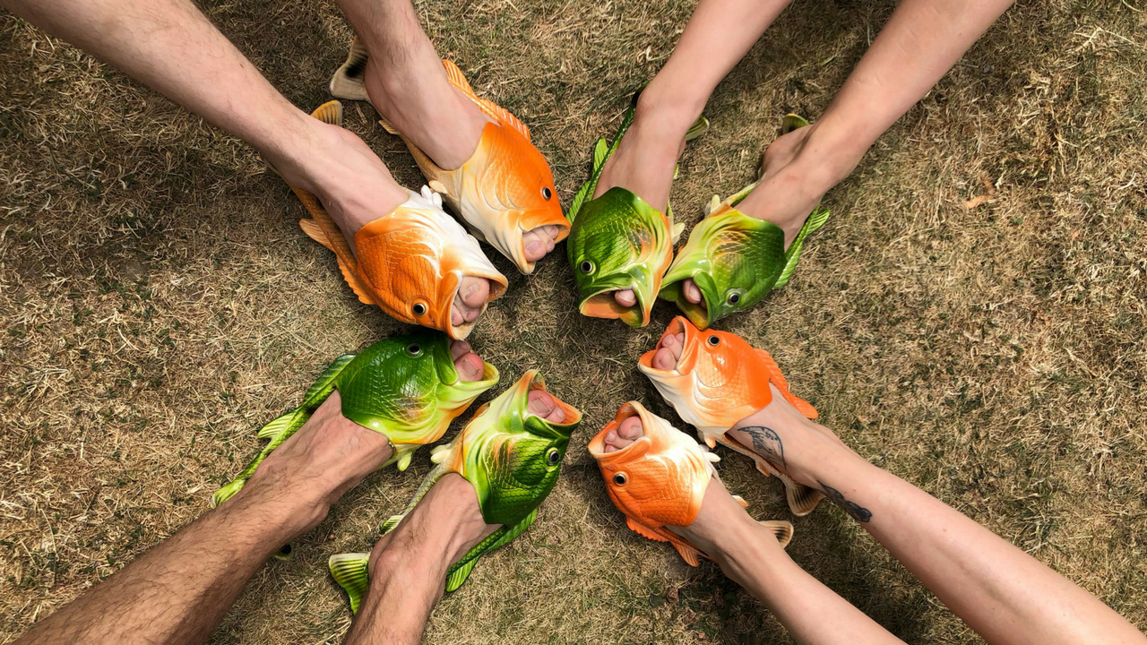 Amazon.co.uk: Coddies