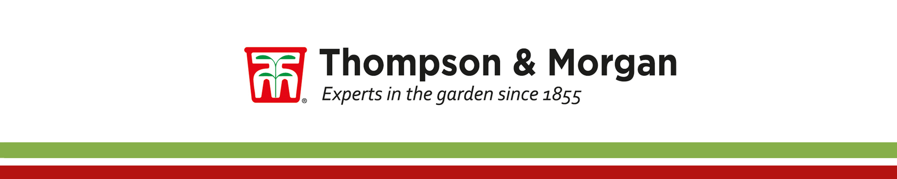 Amazon.co.uk: THOMPSON & MORGAN