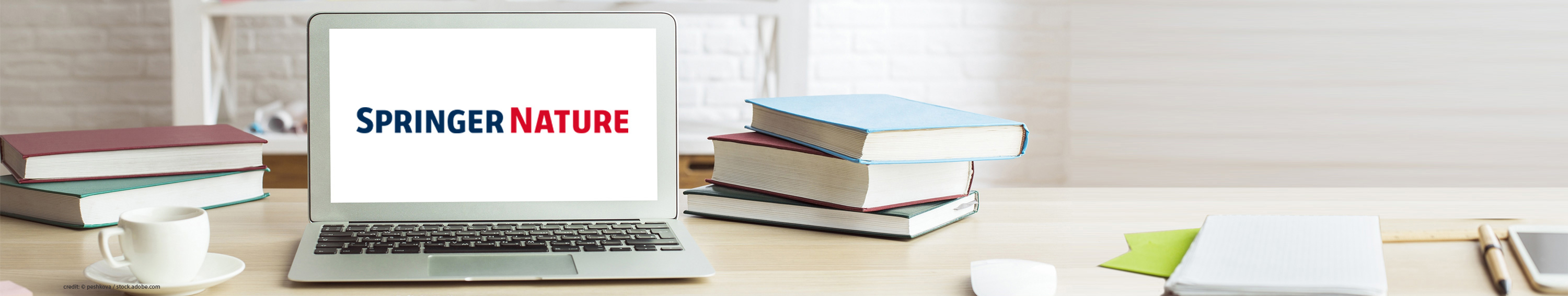 Amazon.co.uk: Springer Nature: Computer Science