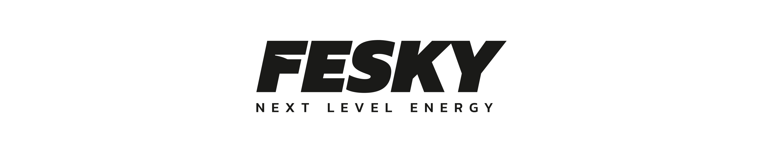 Amazon.de: FESKY: SHAKER